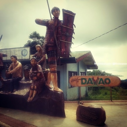 PHOTOS: Giant Philippine Eagle along BuDa (Bukidnon-Davao border)