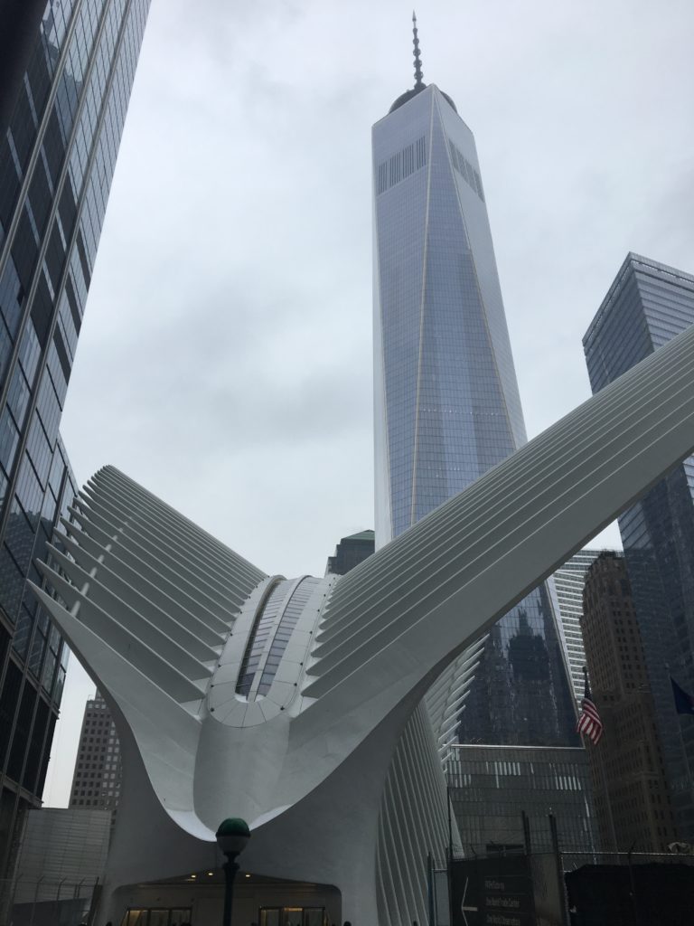 Hello from New York!