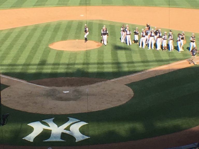 My Awesome New York Yankee Stadium Delta Sky360 Suite Experience